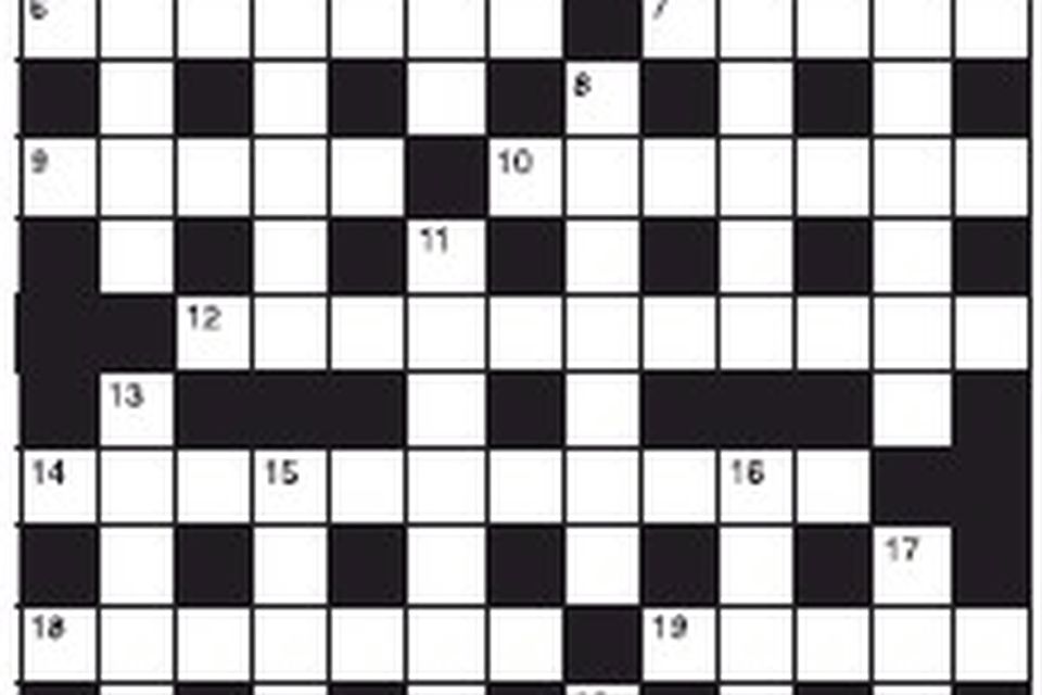 2-Speed Crossword | Irish Independent