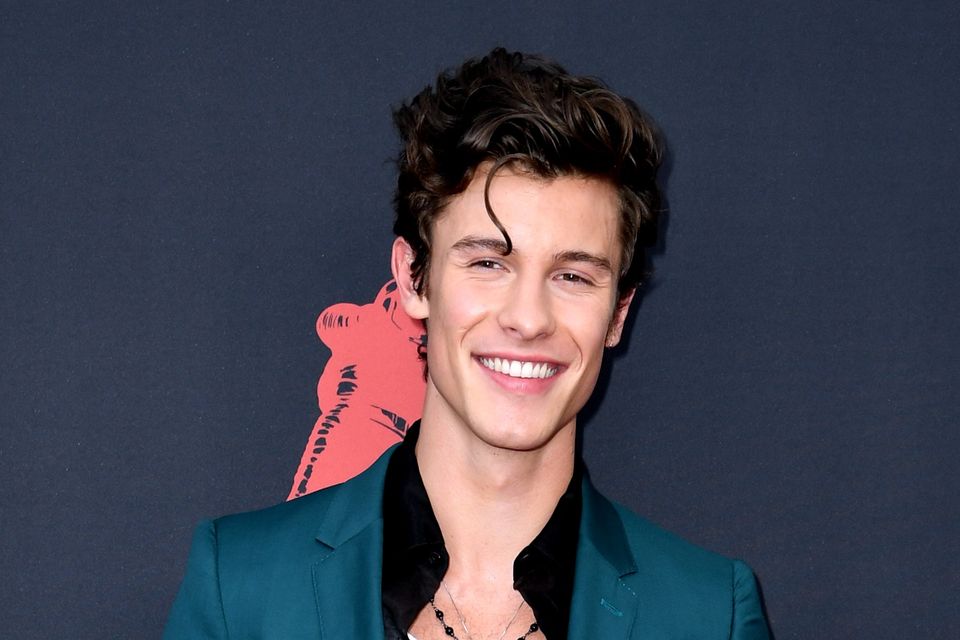 Shawn Mendes launches foundation for ‘young voices to be heard’ | Irish ...