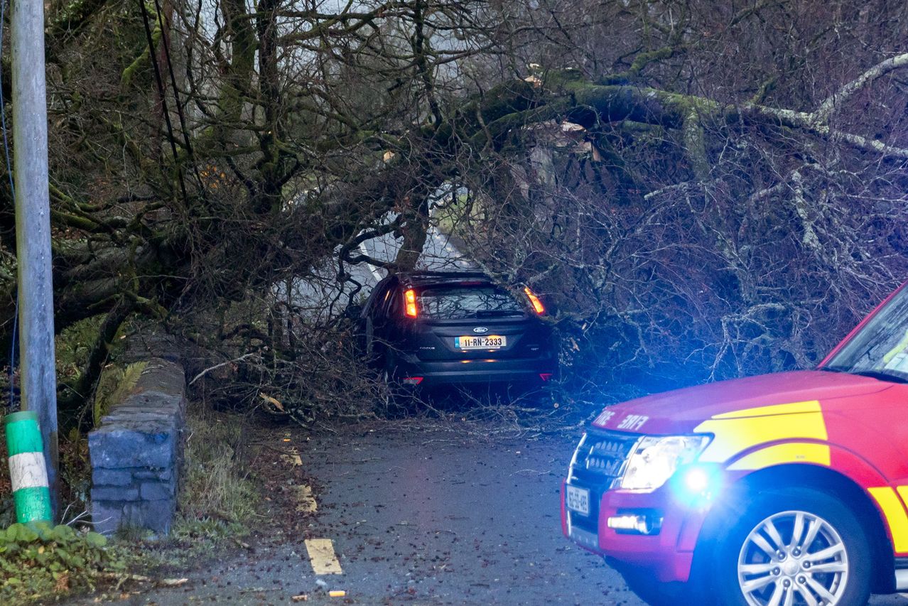 Storm Darragh leaves trail of destruction across County Sligo | Irish ...