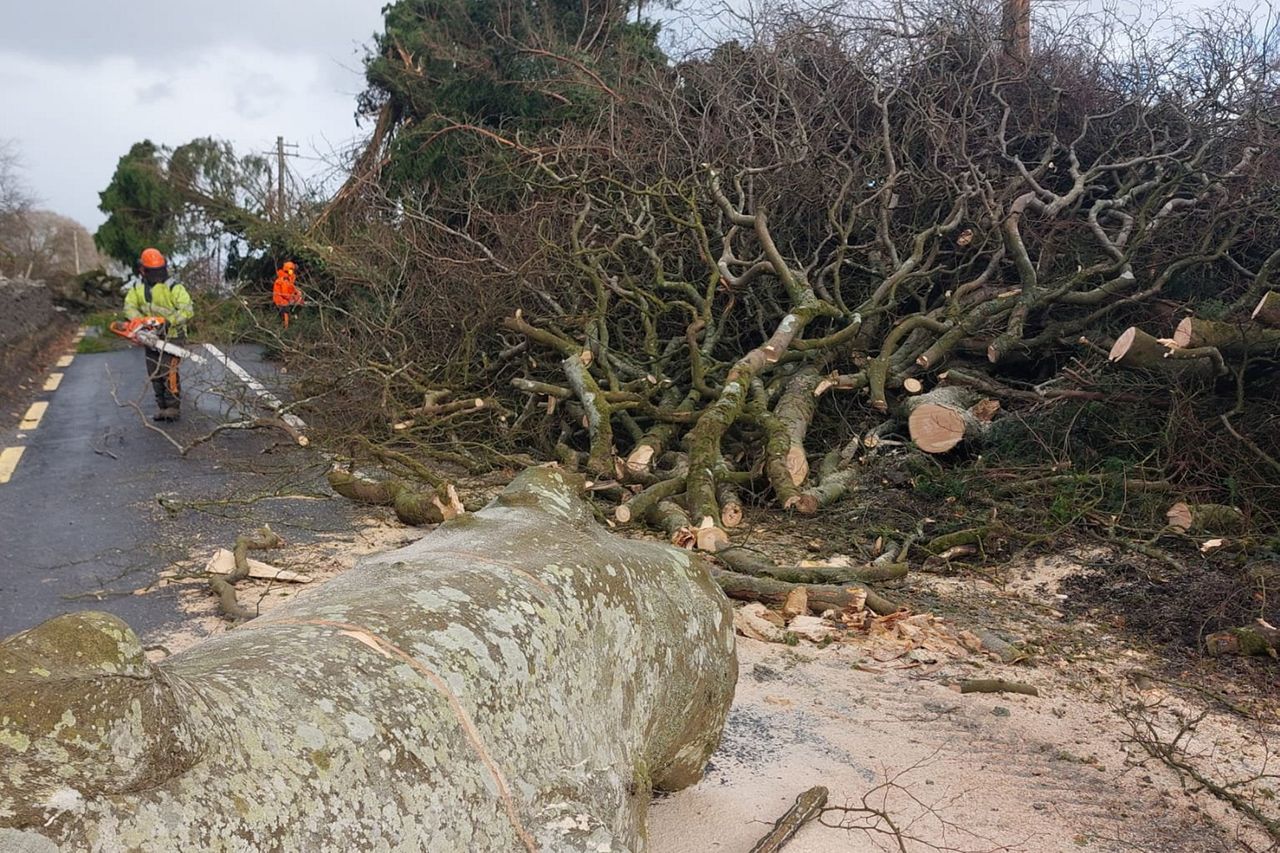 Galway council boss appeals for patience as the authority responds to ...