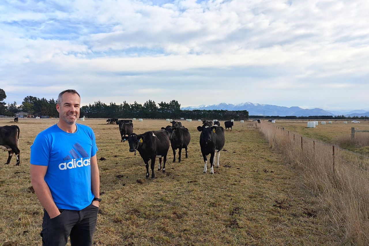 ‘Going to war is not a good idea’: How this New Zealand dairy farm ...