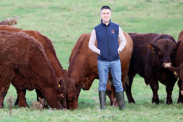 ‘Why Salers are the only breed for us –and how they are ideal for Irish ...