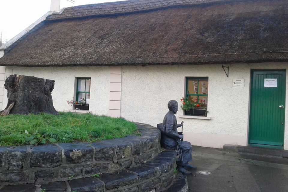 Naul bids final farewell to a century-old landmark tree | Irish Independent