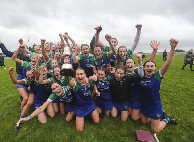 Glorious day for Glynn-Barntown as they overcome St. Martin’s to claim ...