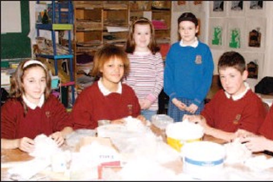 Open day | Irish Independent