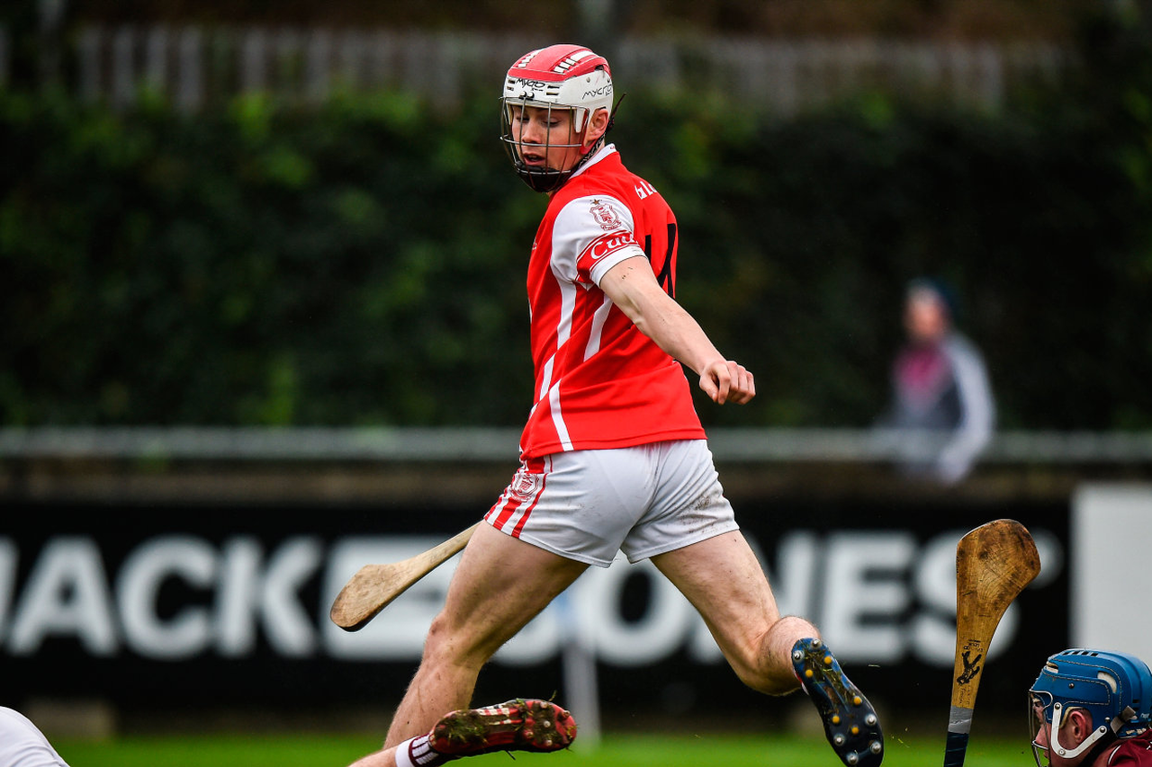 O'Callaghan the main man again as Cuala goal blitz sinks St Martin's ...