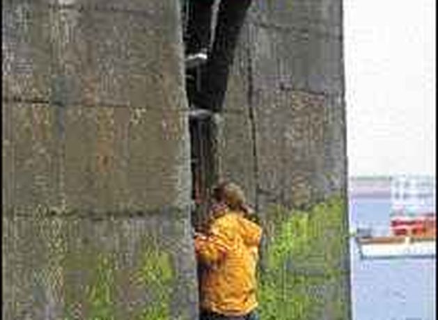 Crews travel from Galway and Clare to take part in Maharees Regatta ...
