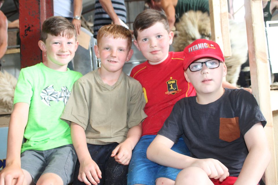 Well-shorn craic at the Top of Coom for some great shearing | Irish ...