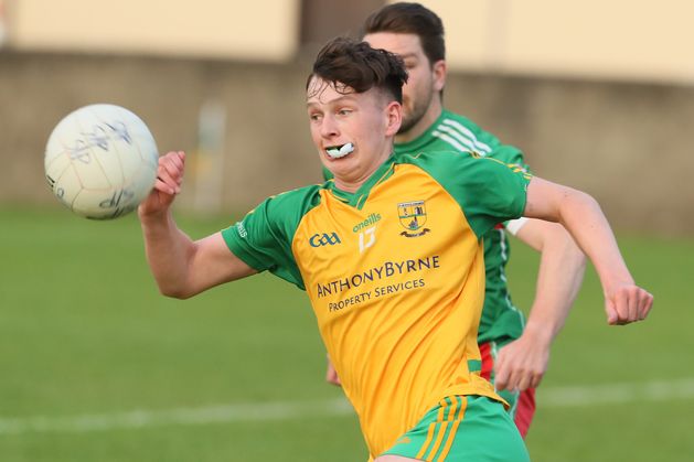 Louth GAA Football Leagues round-up - Division 2: Stabannon win third ...