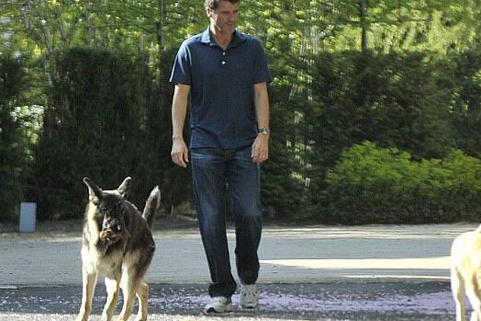 Roy Keane pictured walking his dogs while lawyers lodge not guilty plea ...