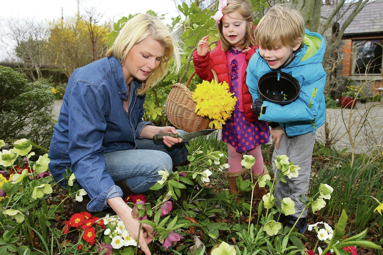 Little hands make a happy, fun garden for everyone | Independent.ie