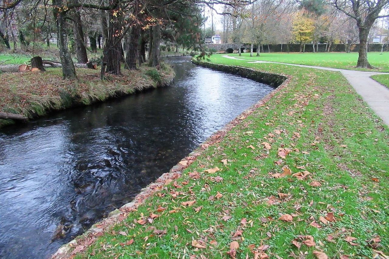 Awards, huge improvements see New Ross, south Carlow, Kilkenny Tidy ...