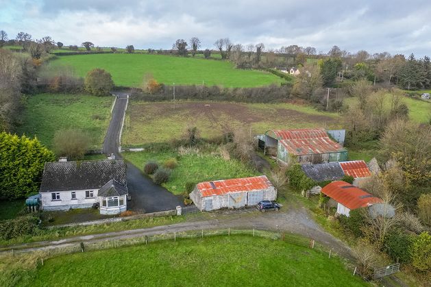 85ac farm in Barrow Valley makes €1.12m | Irish Independent