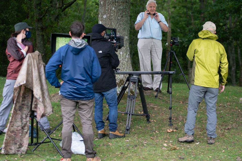 Sir David Attenborough returns to field as filming resumes on The Green ...