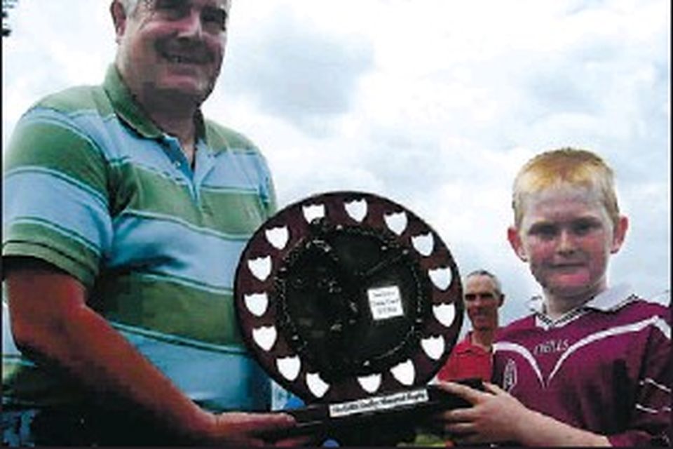 Causeway win U-10 hurling blitz | Irish Independent