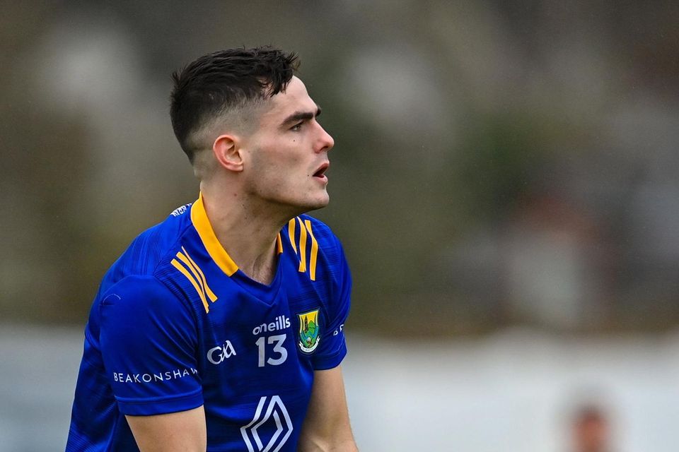 Eoin Darcy leads Wicklow’s league promotion push in Leitrim win | Irish ...