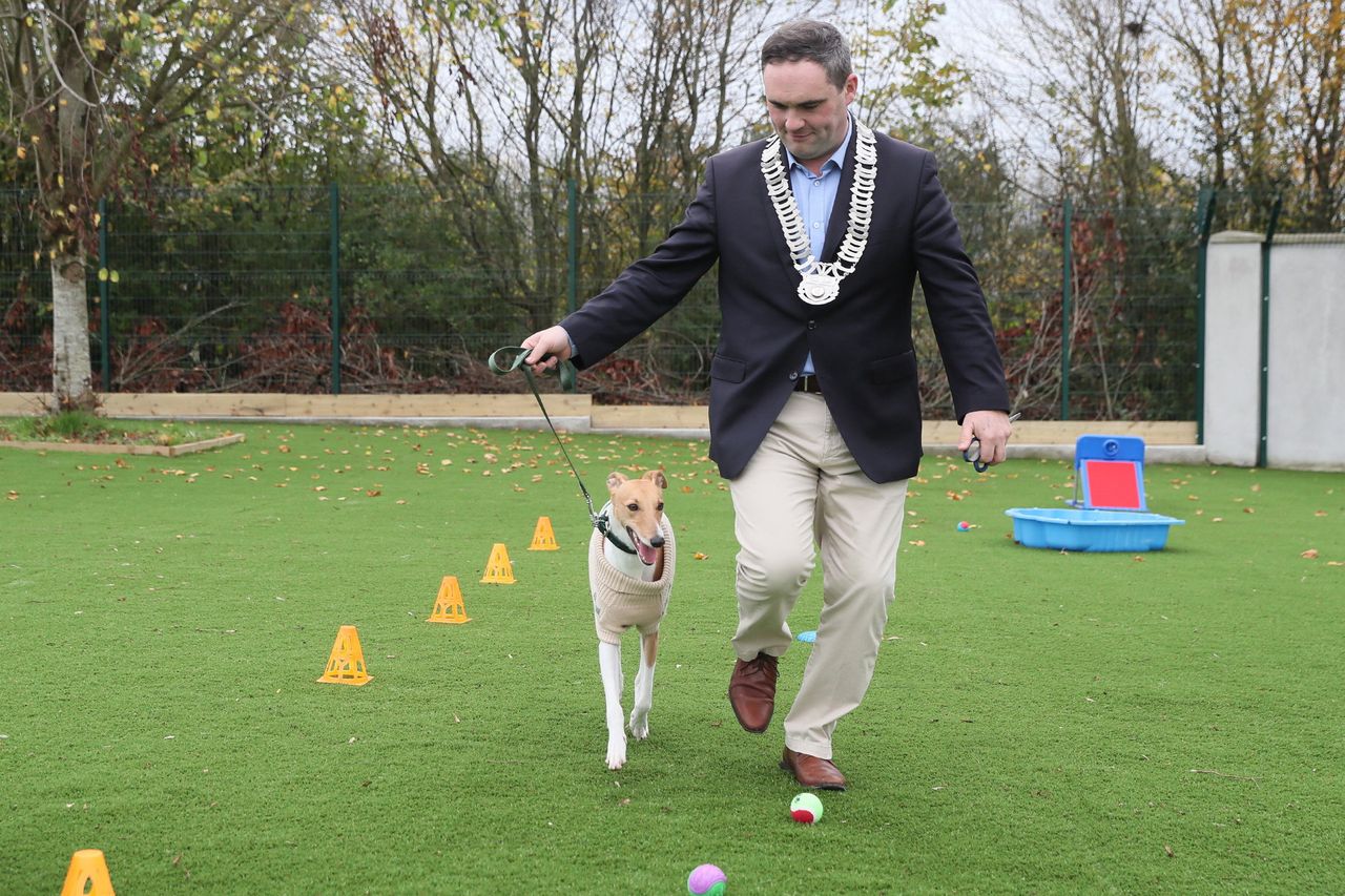 It’s a dog’s life as new play area opened at Louth Dog Pound | Irish ...