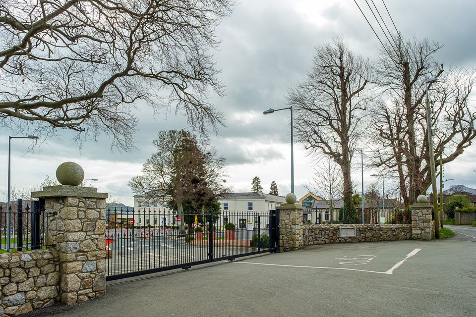 St Gerard’s in Bray tops Wicklow schools table for students going into ...