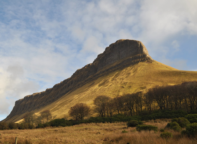 Walk the Ben Bulben Forest Loop - it takes just 1.5 hours! | Irish ...