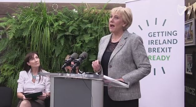 WATCH: 'Businesses need to grab Brexit bull by the horns' – Heather ...