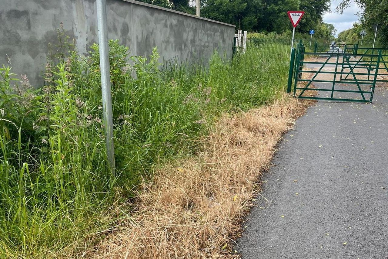 Kerry green way or brown way? Anger over use of weed killer on Tralee ...