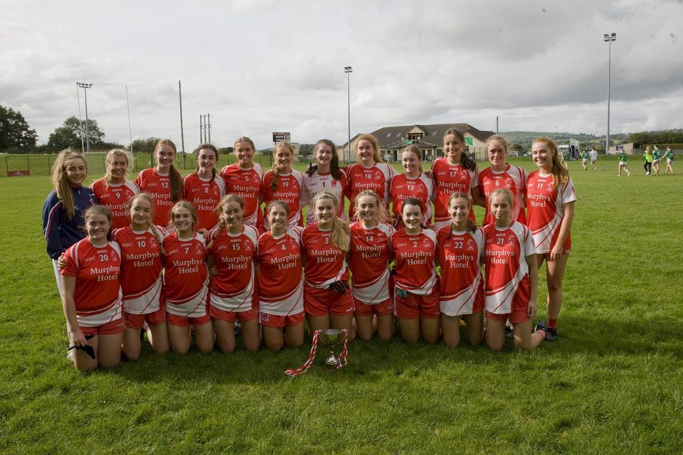 Tinahely power to Intermediate title at expense of brave Clara | Irish ...