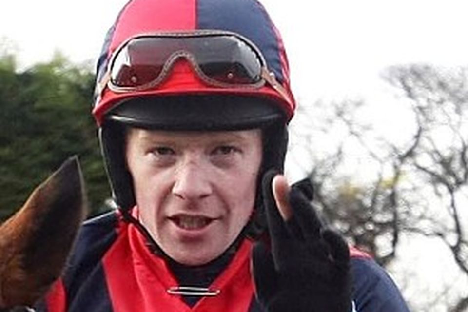 Good result for Mooney's Fella | Irish Independent