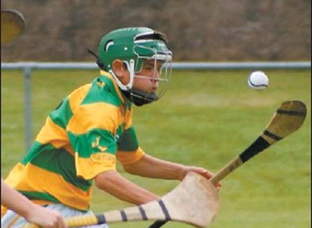 Skellig to face St Michaels in final | Irish Independent