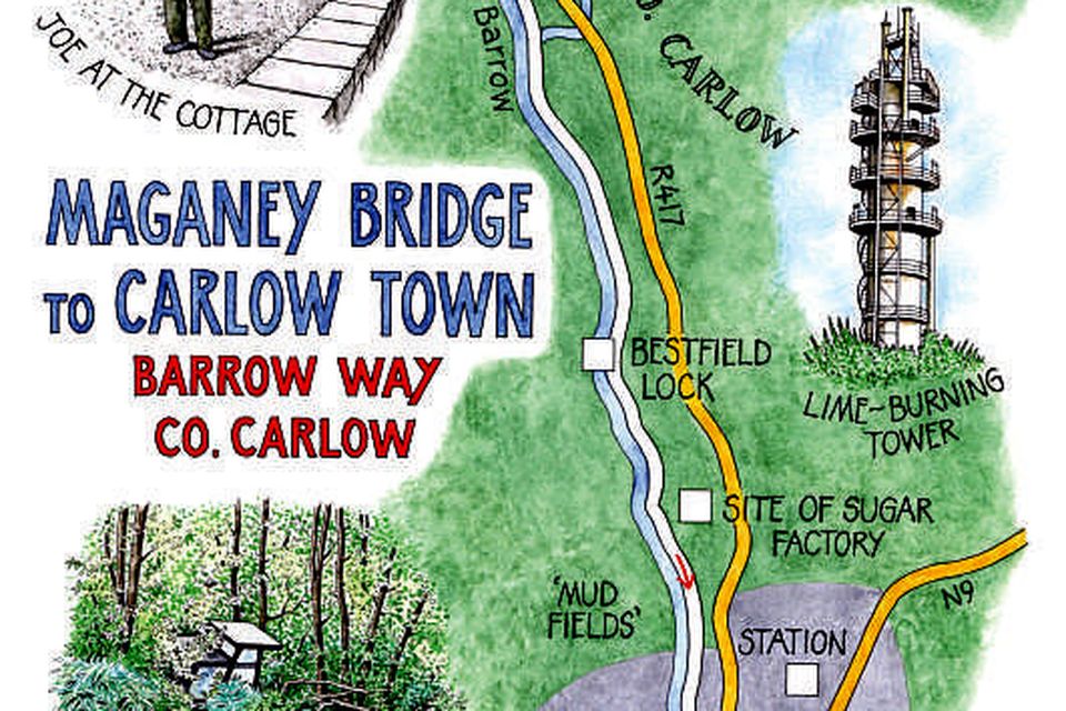 Walk of the week: Maganey bridge to Carlow town, Barrow Way, Co Carlow ...