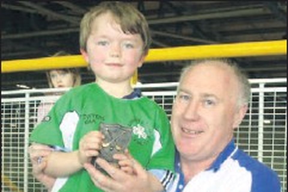 St Maur's teams shine at annual hurling contest | Irish Independent