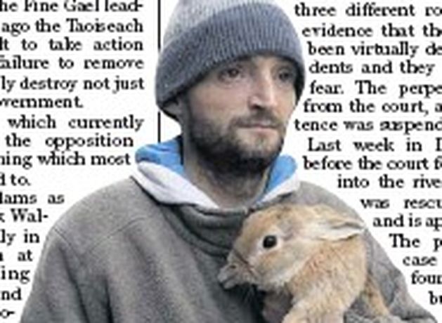 Rabbit thrower is jailed, but hatchet raider is set free? | Irish ...