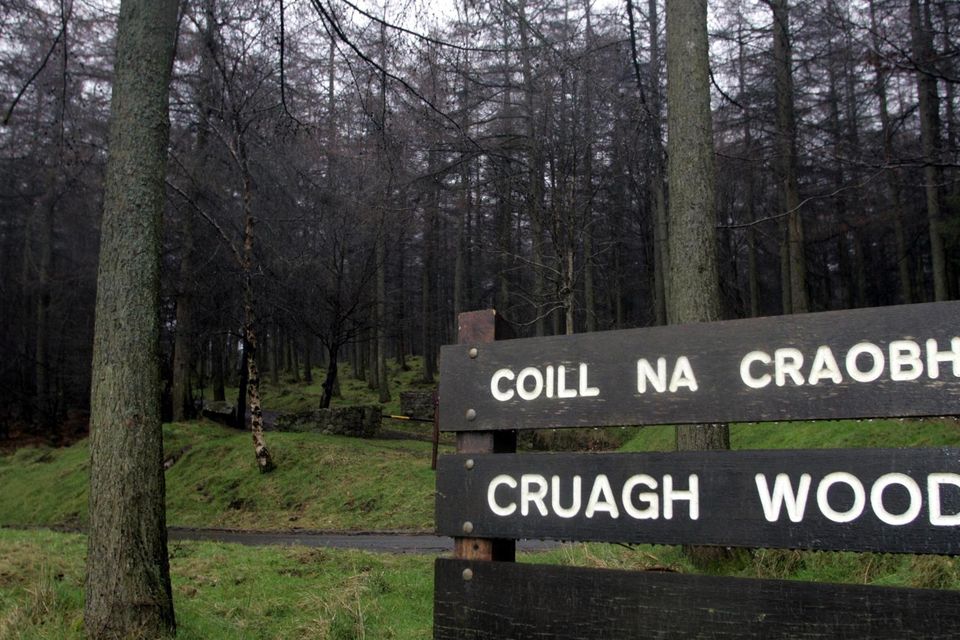 Five of the best winter walks in Dublin over Christmas | Irish Independent