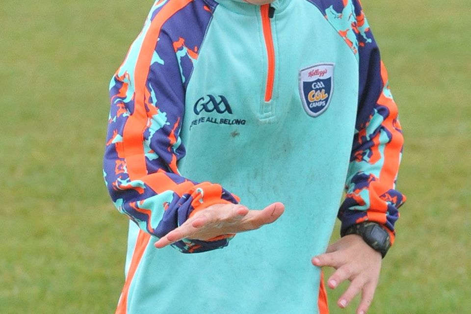 Around the Districts: Louth, Knockbridge, Kilkerley and Faughart ...