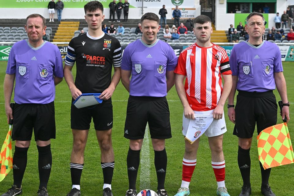 Wexford referee Alan Franklin handles big final | Irish Independent