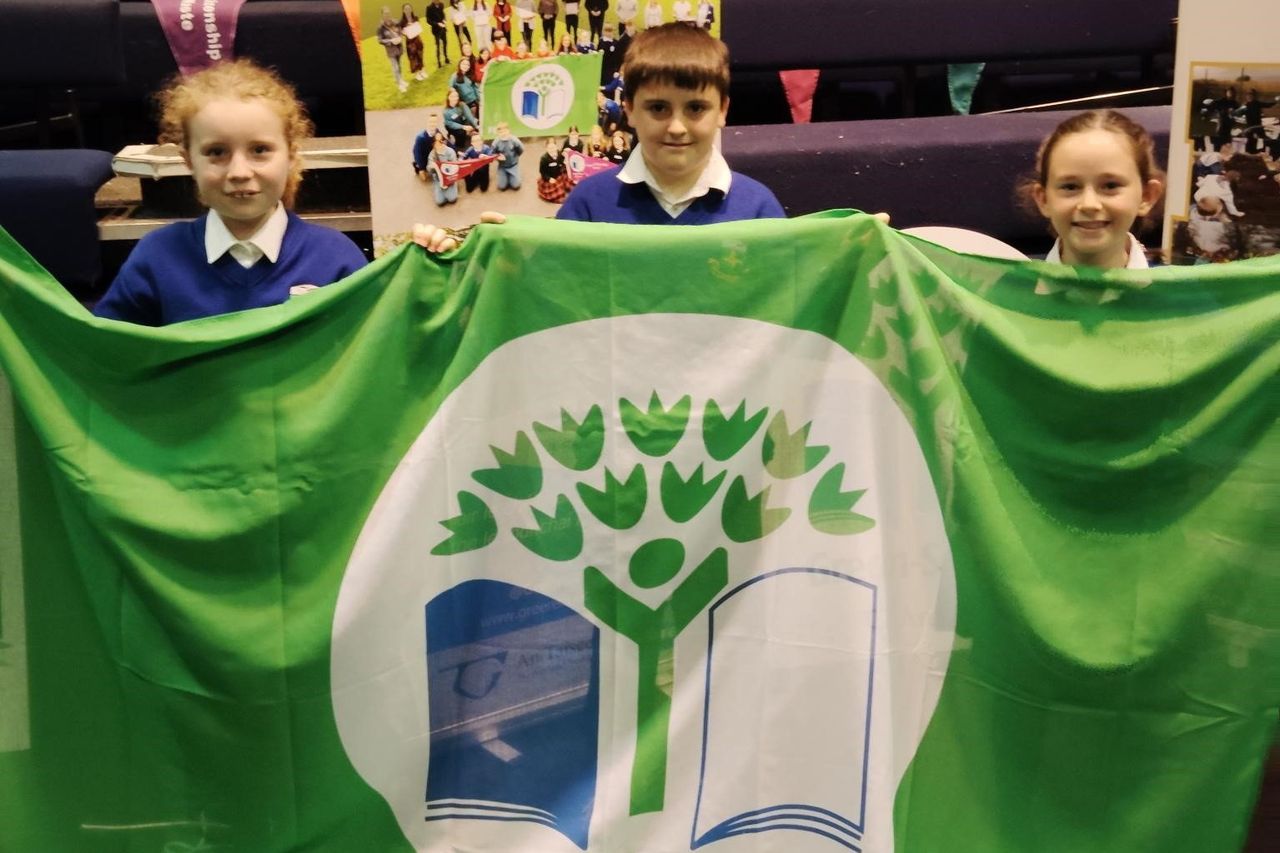 Wicklow schools pave the way for sustainable future as 22 Green Flags ...