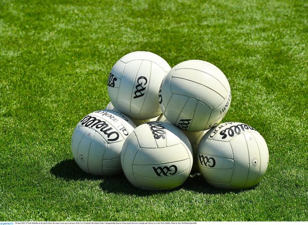 New Ross District GAA AGM held | Irish Independent