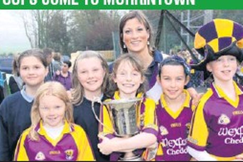 Taghmon on top in titanic battle | Independent.ie