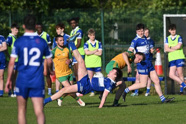 Andy McDonnell: Louth GAA club leagues in need of a change amid ...