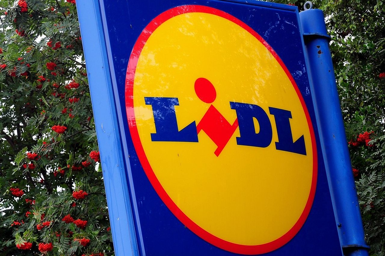 Huge €100m distribution centre opened by Lidl to Brexit-proof supply ...