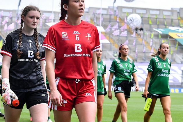 Breen not underestimating the challenges Louth face going into Leinster ...