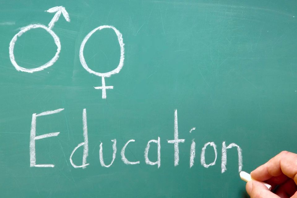 Schools Need Staff Dedicated To Teaching Sex Education Irish