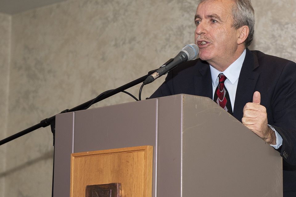 Wexford County Council awards ceremony hears the environment is in very ...
