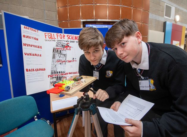 ‘Incredibly proud’ – North Kerry school is delighted as trio bag ...