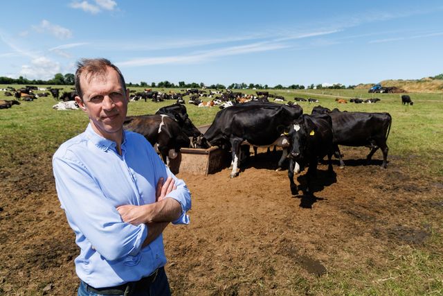 Darragh McCullough: Getting to 500 cows was a goal of our dairy ...