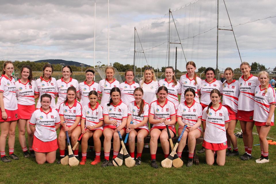 ’Dales prove unbreakable against Aughrim in Intermediate camogie semi ...