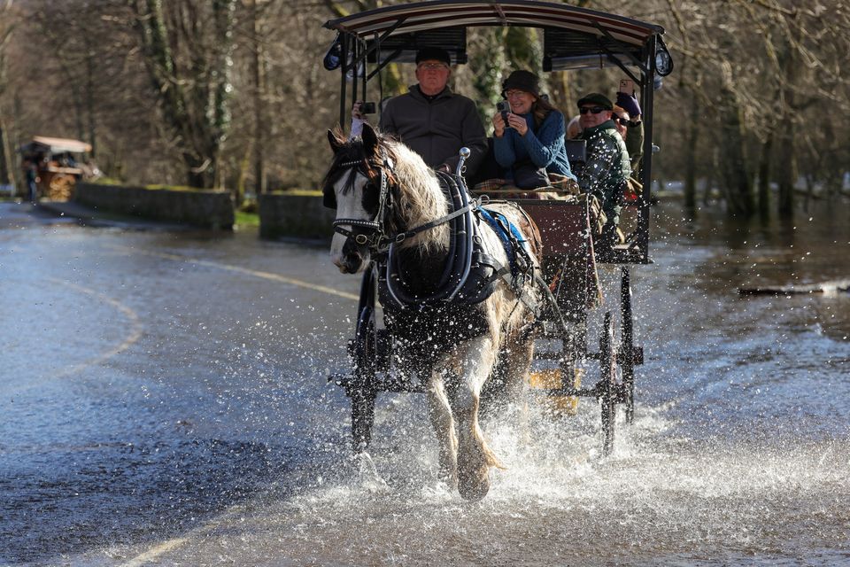Ross castle closed and paths under water as flooding hits Kerry ...