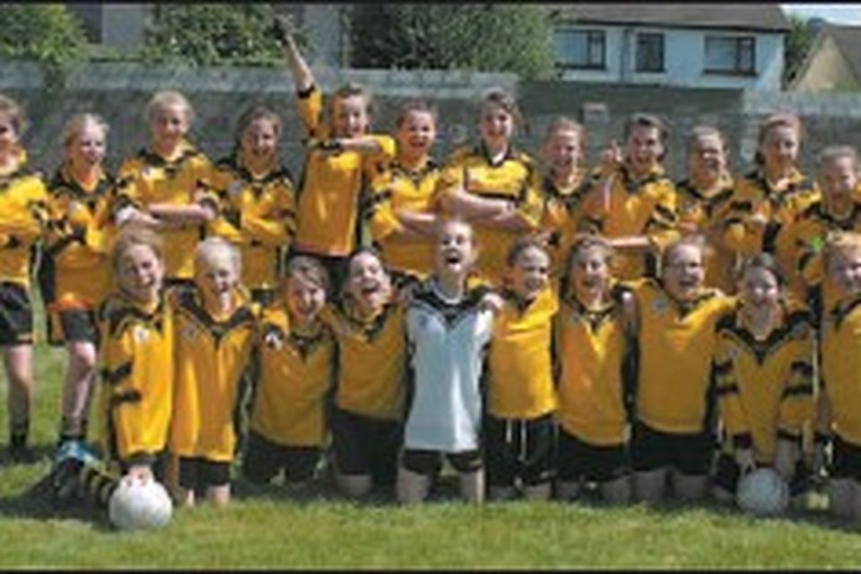 Castleisland and Listowel win Plate and Shield titles as Ballyboden ...