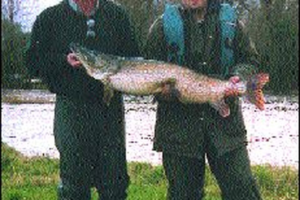 Monster pike caught on St. Patricks Day | Irish Independent