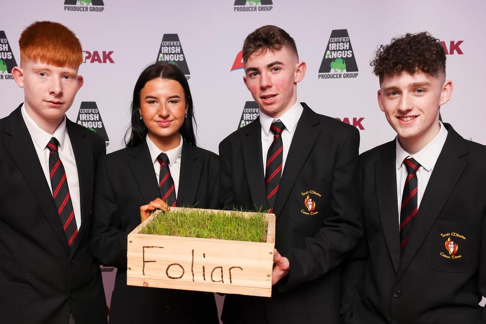 Several Cork winners at Irish Certified Angus Beef competition | Irish ...