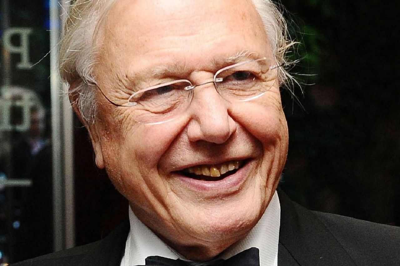 Sir David excited at return to reef | Irish Independent